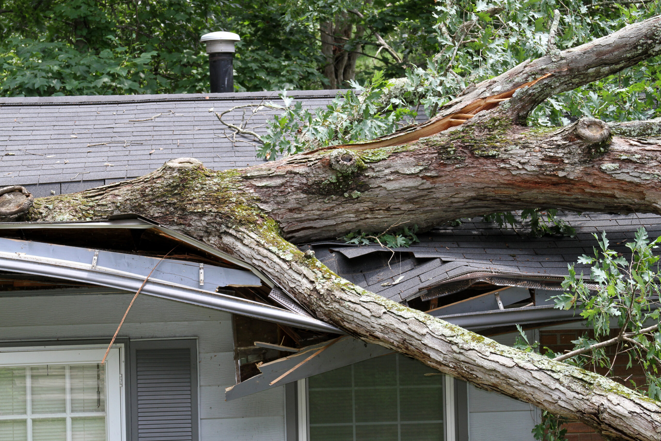 How Much Does Storm Damage Cleanup Cost?